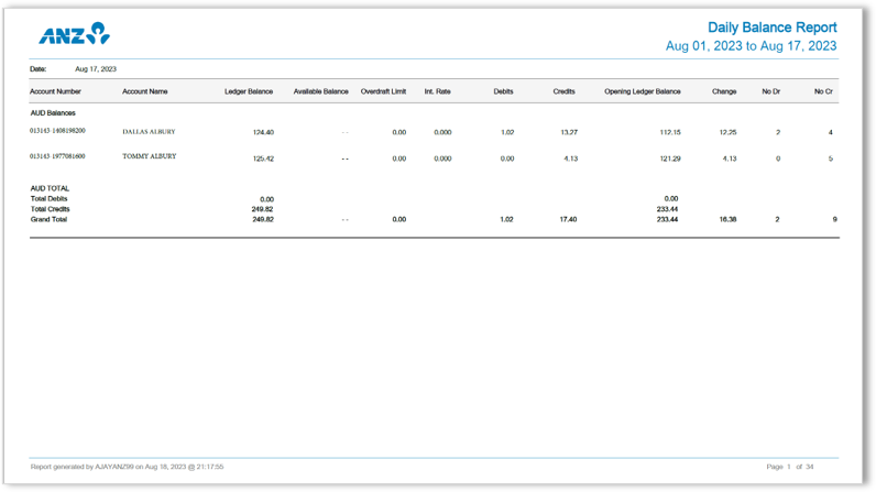 Account Report Types – ANZ Digital Services Help