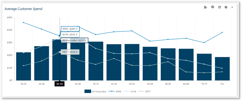 Customer Analysis – ANZ Digital Services Help